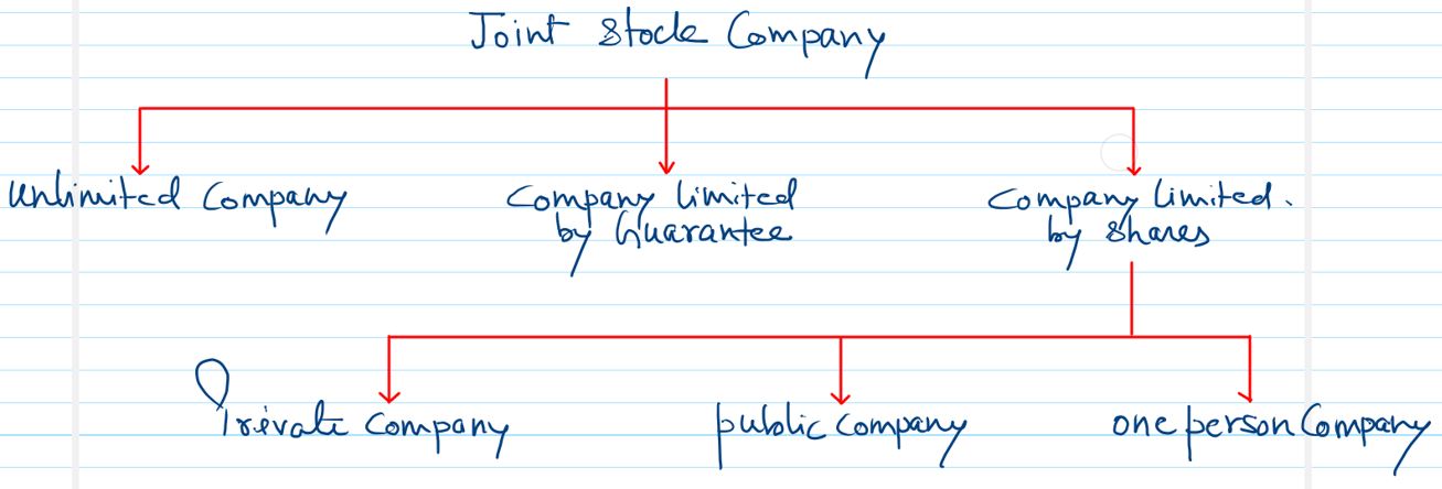 What are the types of Company Class 12 CBSE, ISC